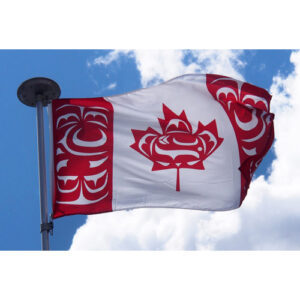 Canadian Indigenous Flags (formerly the Canadian Native Flag) | The ...